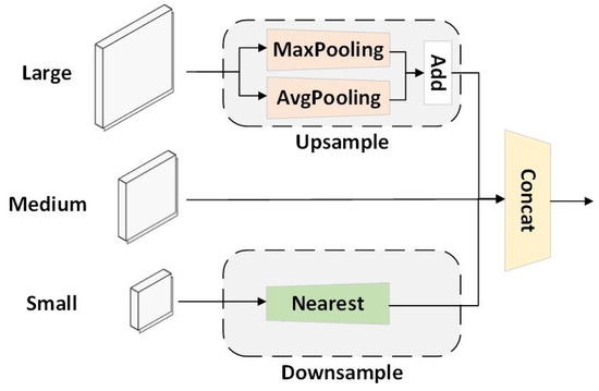 DyFish-DETR: Underwater Fish Image Recognition Based on Detection ...