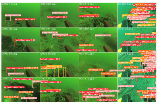 DyFish-DETR: Underwater Fish Image Recognition Based on Detection Transformer