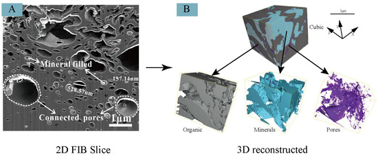 JMSE | Free Full-Text | Microscopic Characterization and Fractal Analysis of Pore Systems for ...
