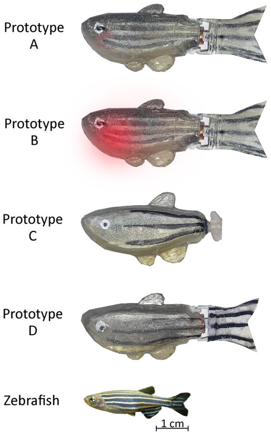 JMSE | Free Full-Text | Towards Fish Welfare in the Presence of Robots ...