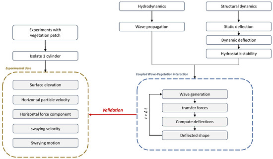 Exploring Wave–Vegetation Interaction at Stem Scale: Analysis of the Coupled Flow–Structure ...