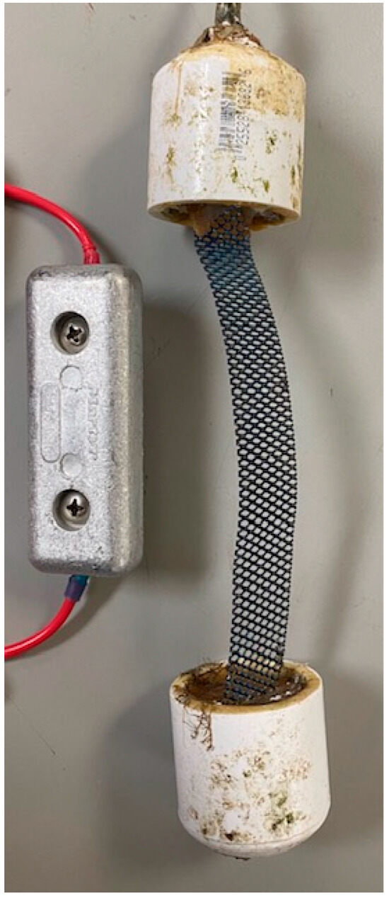 Effects of Perforations on Internal Cathodic Protection and Recruitment ...