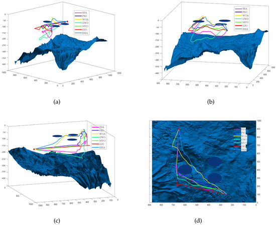 Autonomous Underwater Vehicle Path Planning Based on Improved Salp Swarm Algorithm