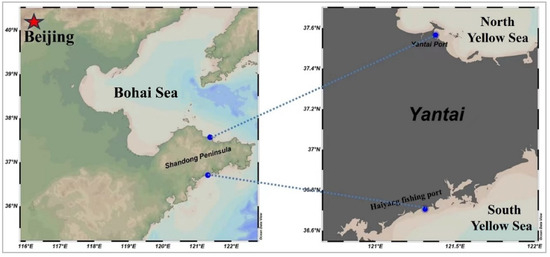 Continuous Field Determination and Ecological Risk Assessment of Pb in ...