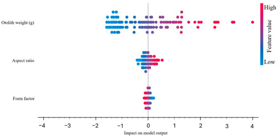 From Data to Insight: Machine Learning Approaches for Fish Age Prediction in European Hake