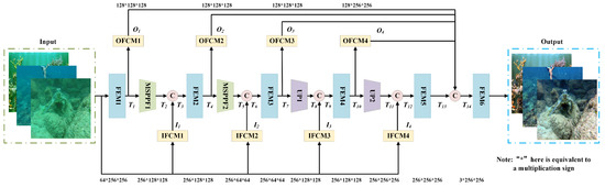 MSFE-UIENet: A Multi-Scale Feature Extraction Network for Marine Underwater Image Enhancement