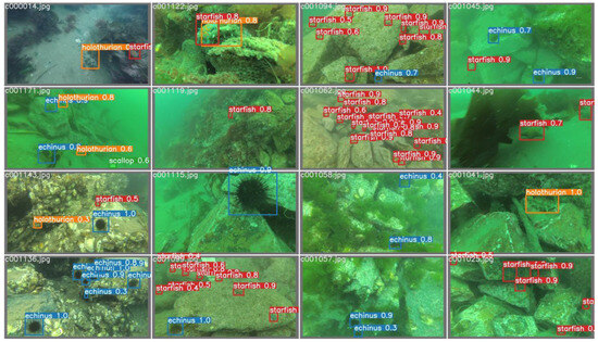 DA-YOLOv7: A Deep Learning-Driven High-Performance Underwater Sonar Image Target Recognition Model