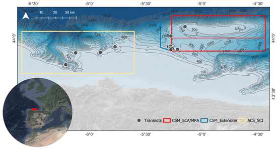 Deep Learning Based Characterization of Cold-Water Coral Habitat at ...