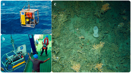 Deep Learning Based Characterization of Cold-Water Coral Habitat at ...