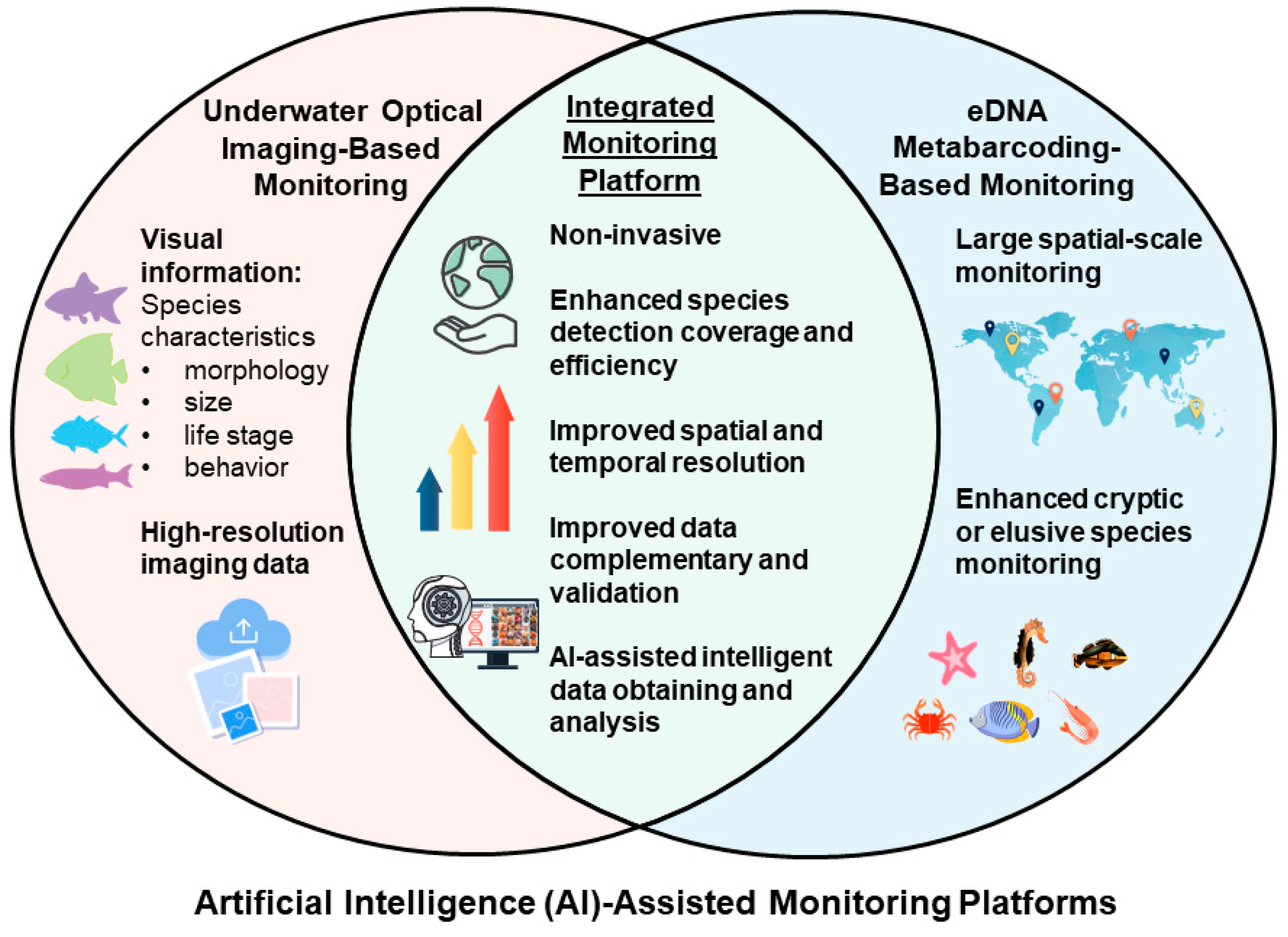 Artificial Intelligence-Assisted Environmental DNA Metabarcoding and High-Resolution Underwater ...