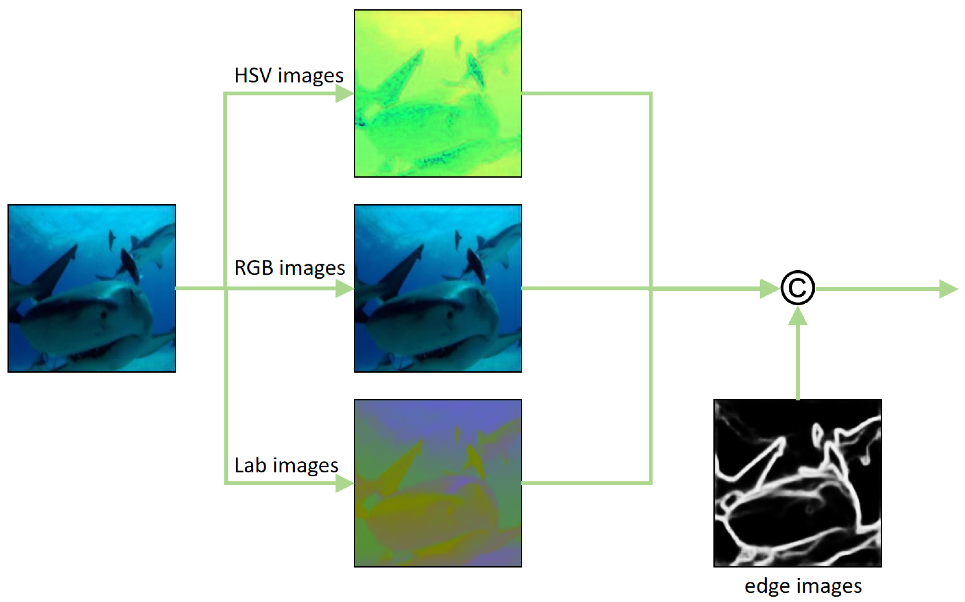 Enhancing Underwater Images through Multi-Frequency Detail Optimization and Adaptive Color ...
