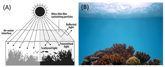 The Development of a Floating Mono-Particle “Sun Shield” to Protect ...