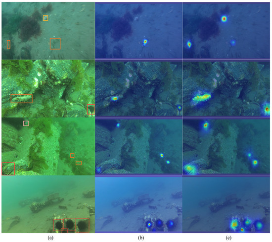 YOLO-GE: An Attention Fusion Enhanced Underwater Object Detection Algorithm