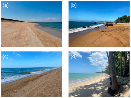 Dynamics of Sandy Shorelines and Their Response to Wave Climate Change in the East of Hainan ...