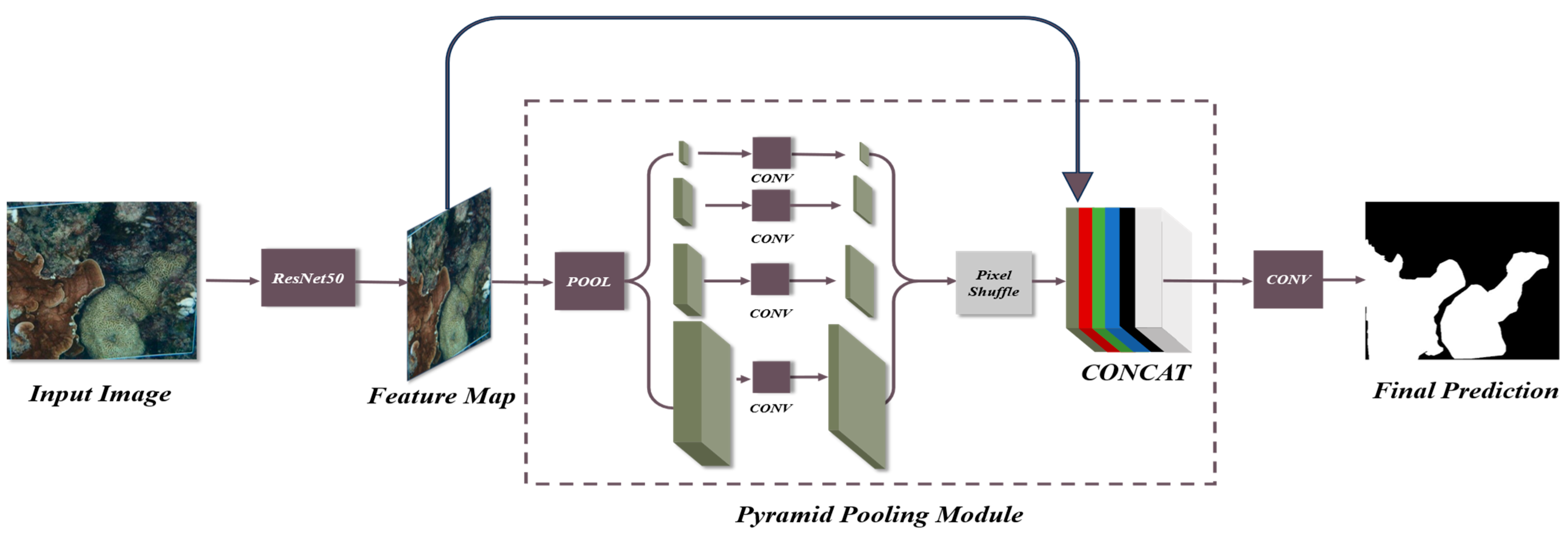 Deep Learning-Based Automatic Estimation of Live Coral Cover from ...