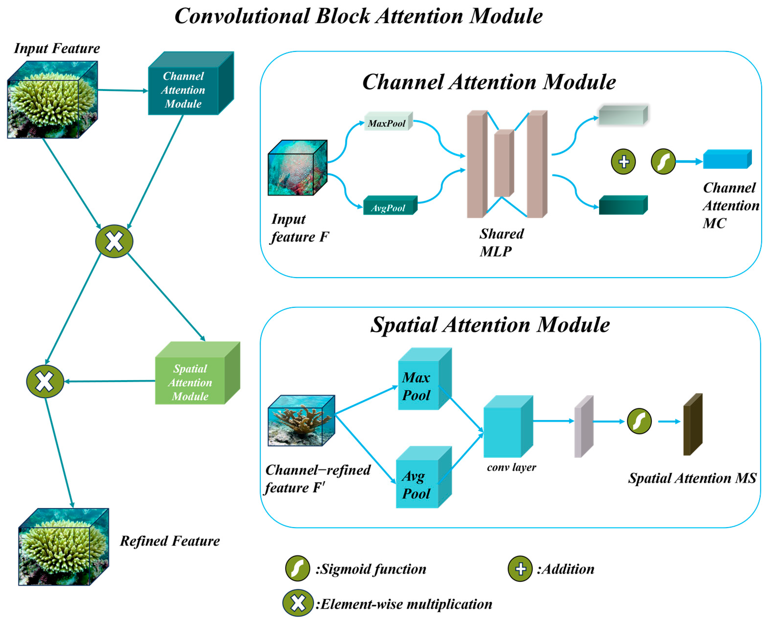 Deep Learning-Based Automatic Estimation of Live Coral Cover from ...