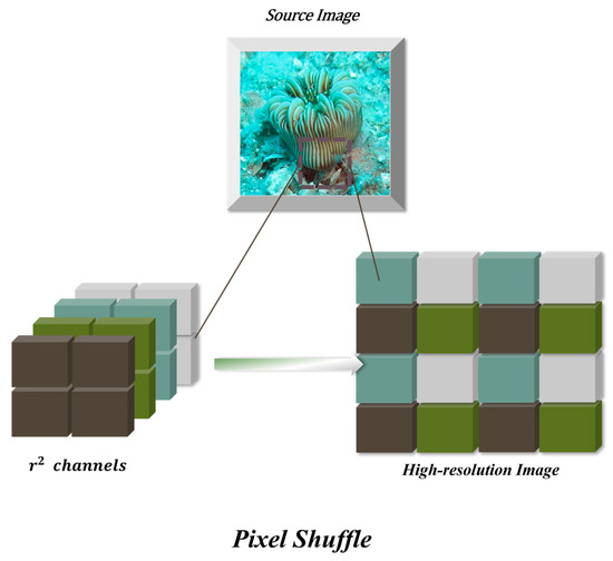 Deep Learning-Based Automatic Estimation of Live Coral Cover from ...