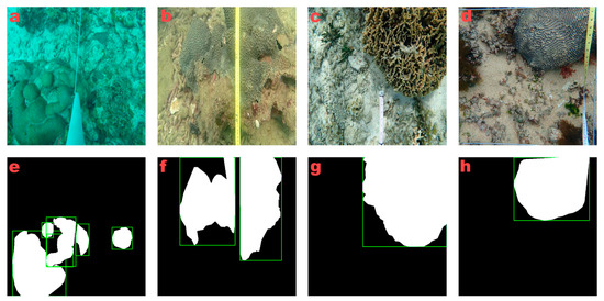 Deep Learning-Based Automatic Estimation of Live Coral Cover from ...