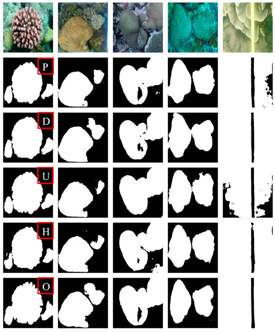 Deep Learning-Based Automatic Estimation of Live Coral Cover from ...