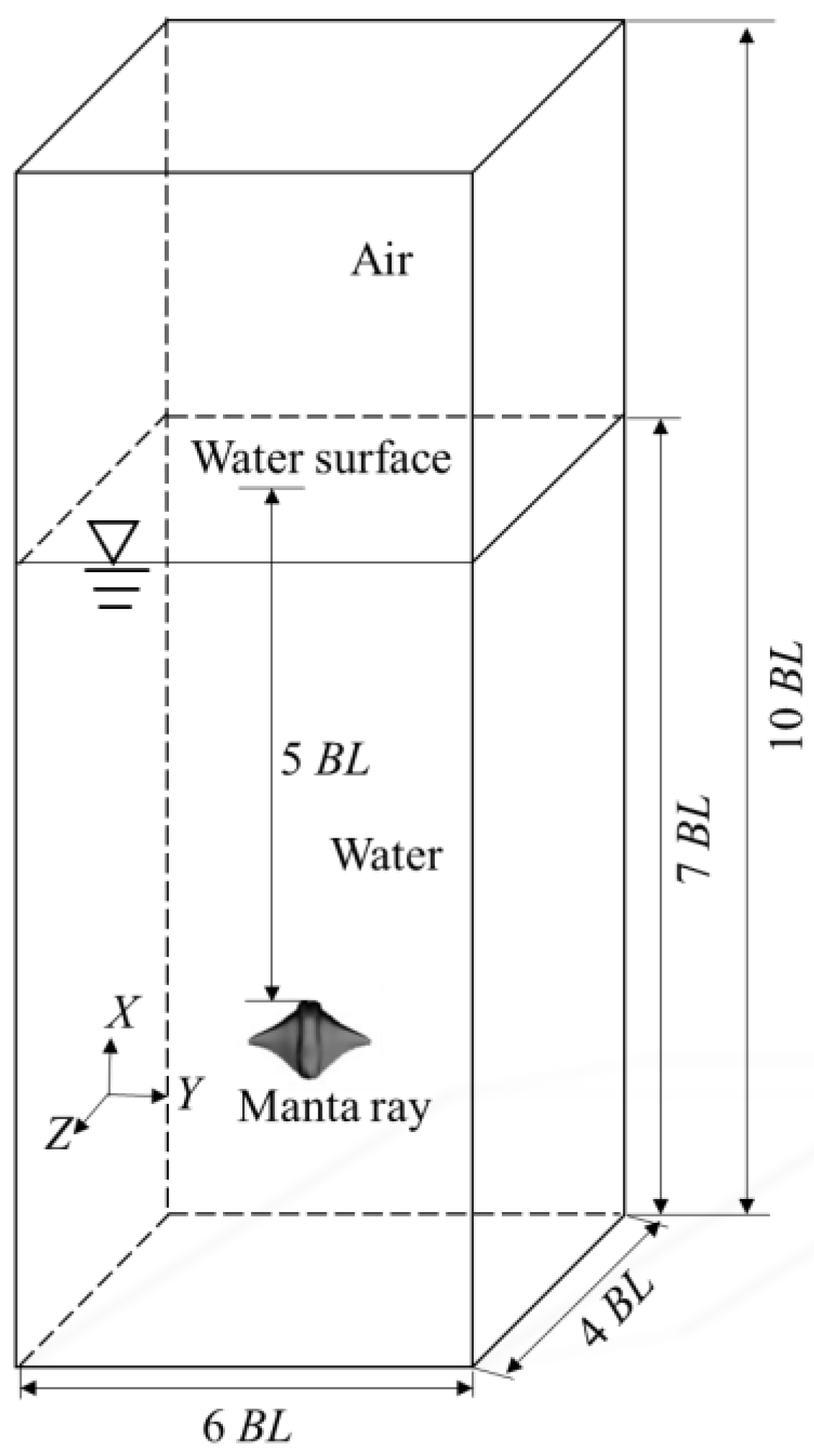 Numerical Study on the Hydrodynamics of Manta Rays Exiting Water