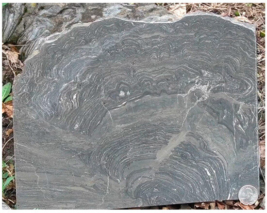 Stromatolites and Their “Kin” as Living Microbialites in Contemporary ...