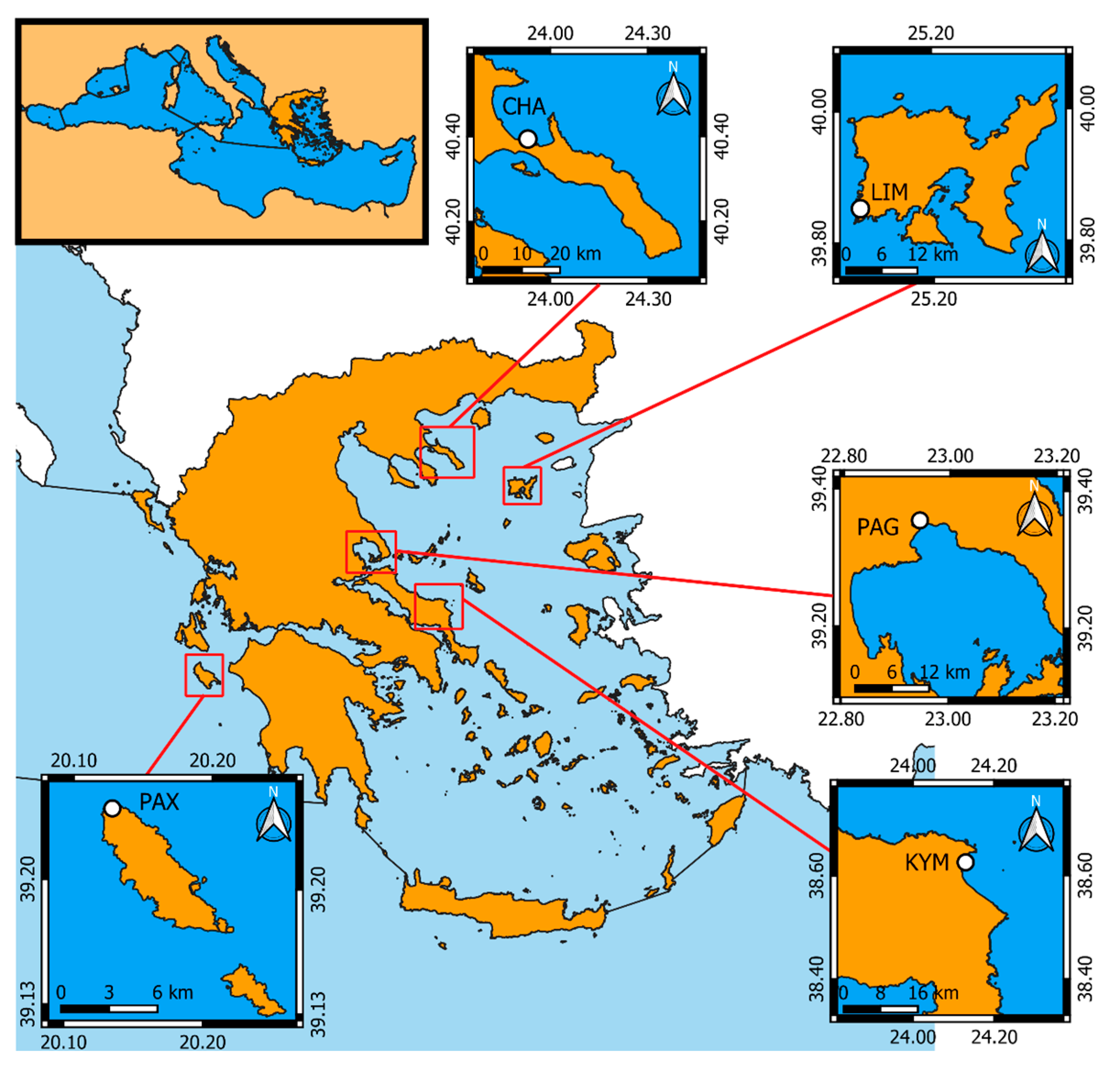 Elemental Composition and Morphometry of Rhyssoplax olivacea ...
