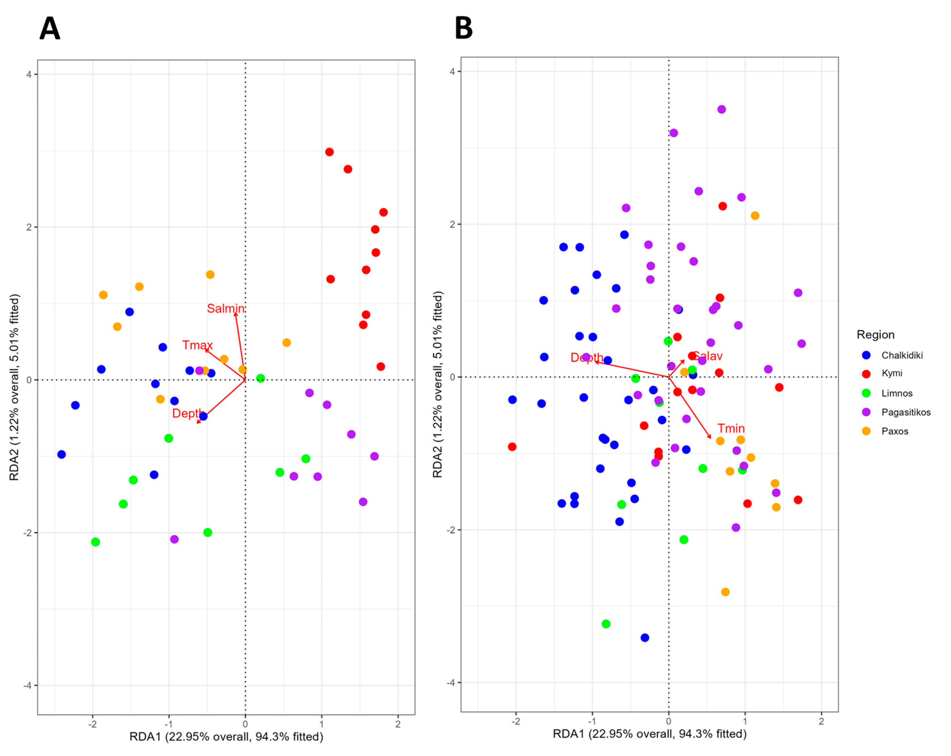 Elemental Composition and Morphometry of Rhyssoplax olivacea ...