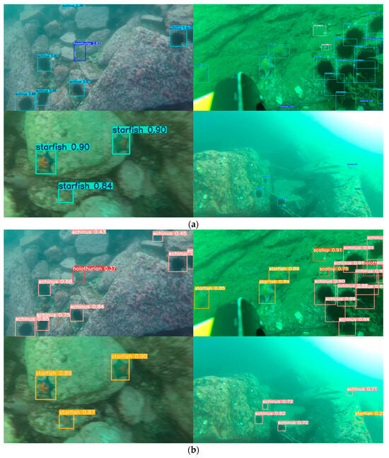 Underwater Target Detection with High Accuracy and Speed Based on YOLOv10