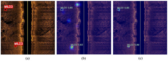 Side-Scan Sonar Small Objects Detection Based on Improved YOLOv11
