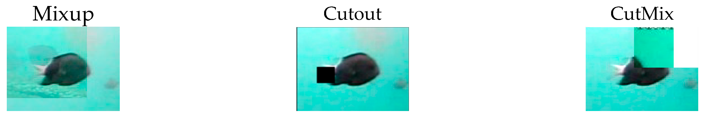 Neural Network for Underwater Fish Image Segmentation Using an Enhanced Feature Pyramid ...