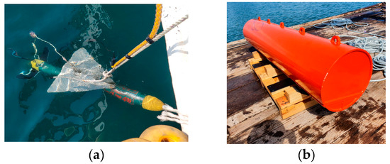 Effect of Seabed Type on Image Segmentation of an Underwater Object ...