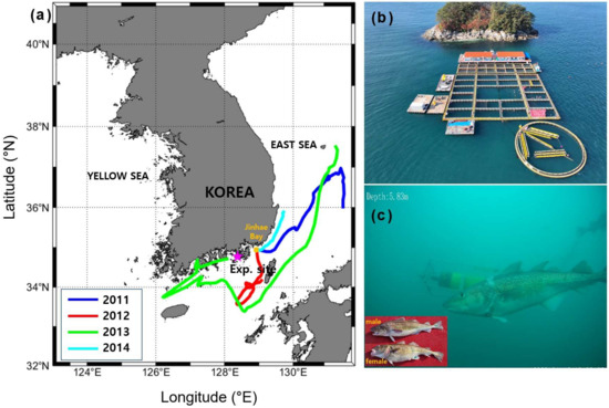 Evaluating the Sounds Produced by Pacific Cod (Gadus macrocephalus ...
