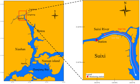 Hydrology Modulates the Microplastics Composition and Transport Flux ...