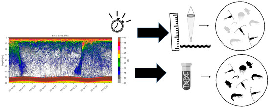 Adaptive Sampling and Identification of Calanoid Copepods Using Acoustic Sensor Data and eDNA ...