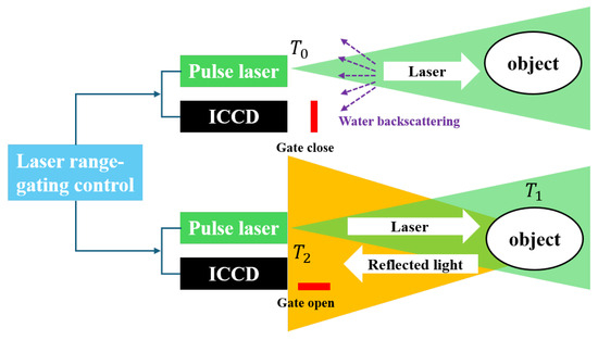Enhanced U-Net for Underwater Laser Range-Gated Image Restoration ...