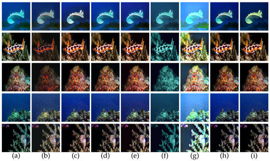 Dual-Domain Adaptive Synergy GAN for Enhancing Low-Light Underwater Images