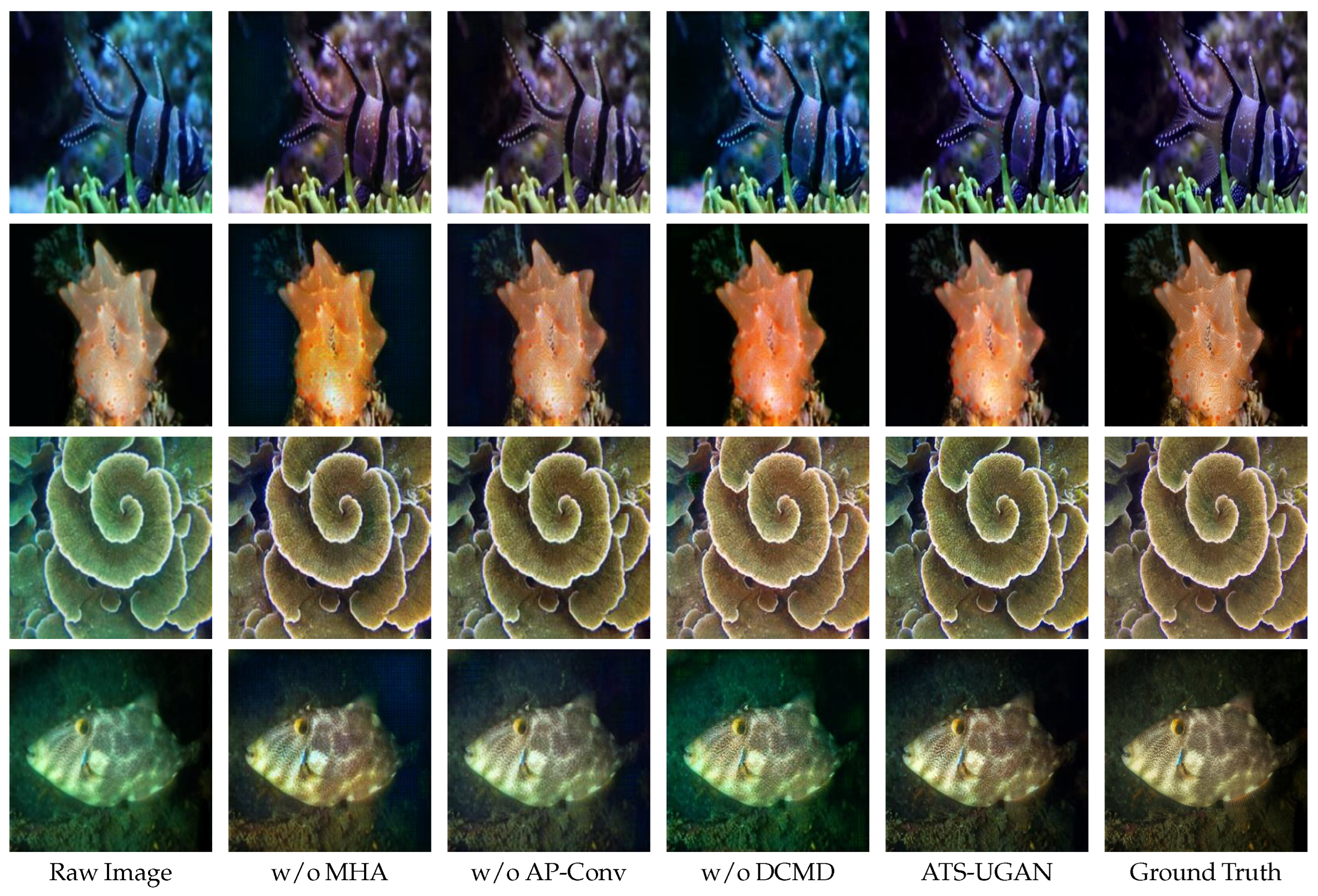 Dual-Domain Adaptive Synergy GAN for Enhancing Low-Light Underwater Images