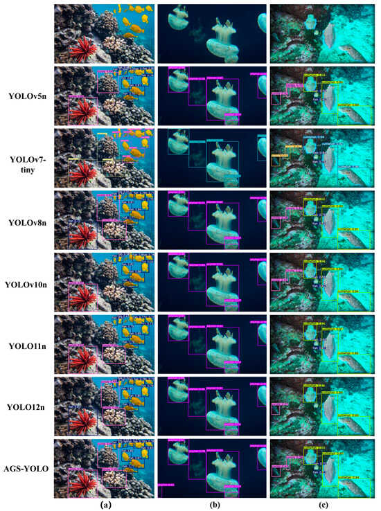 AGS-YOLO: An Efficient Underwater Small-Object Detection Network for ...