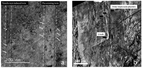 JNE | Free Full-Text | Strain Localisation and Fracture of Nuclear ...