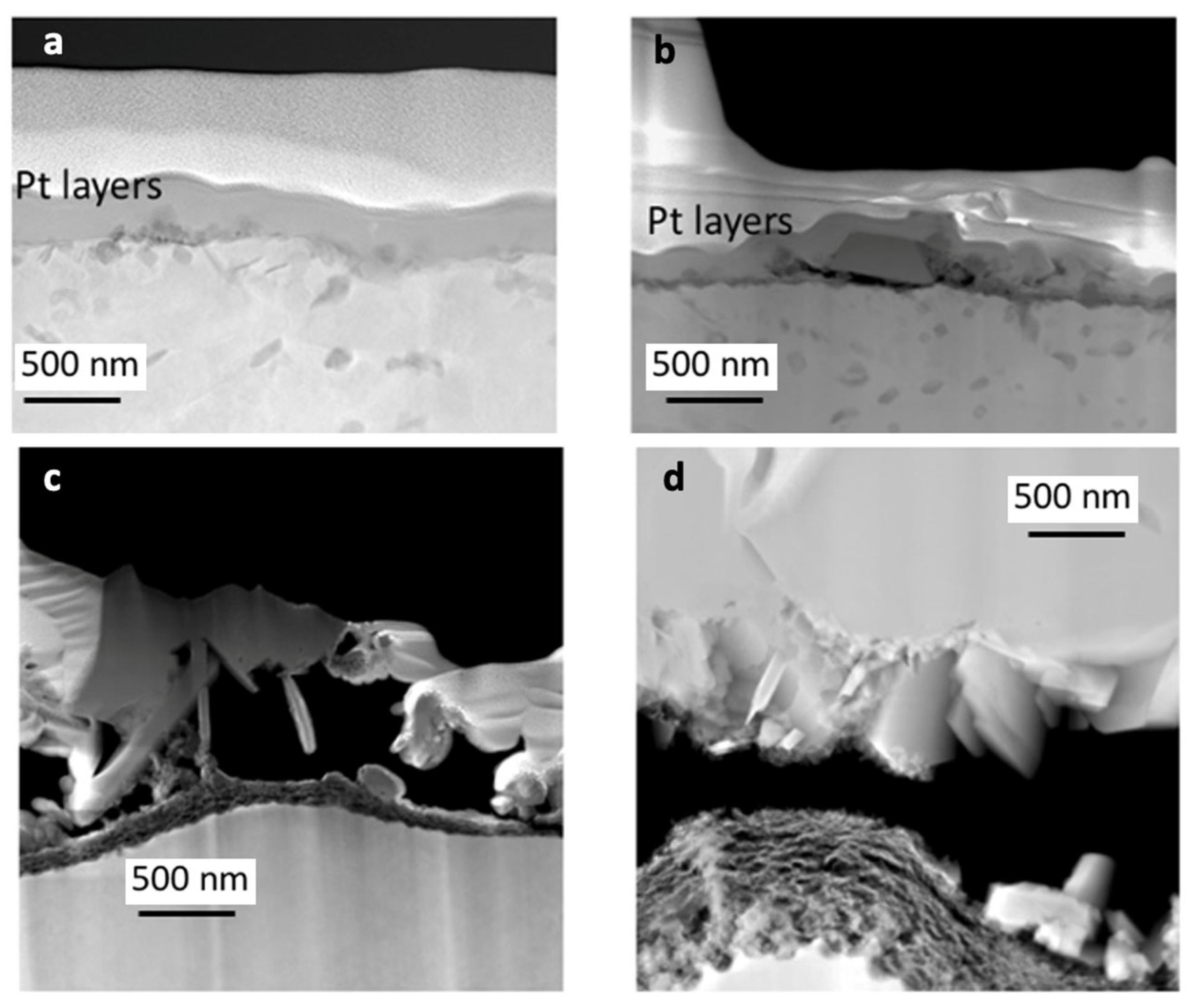 Oxidation of Alloy X-750 with Low Iron Content in Simulated BWR Environment