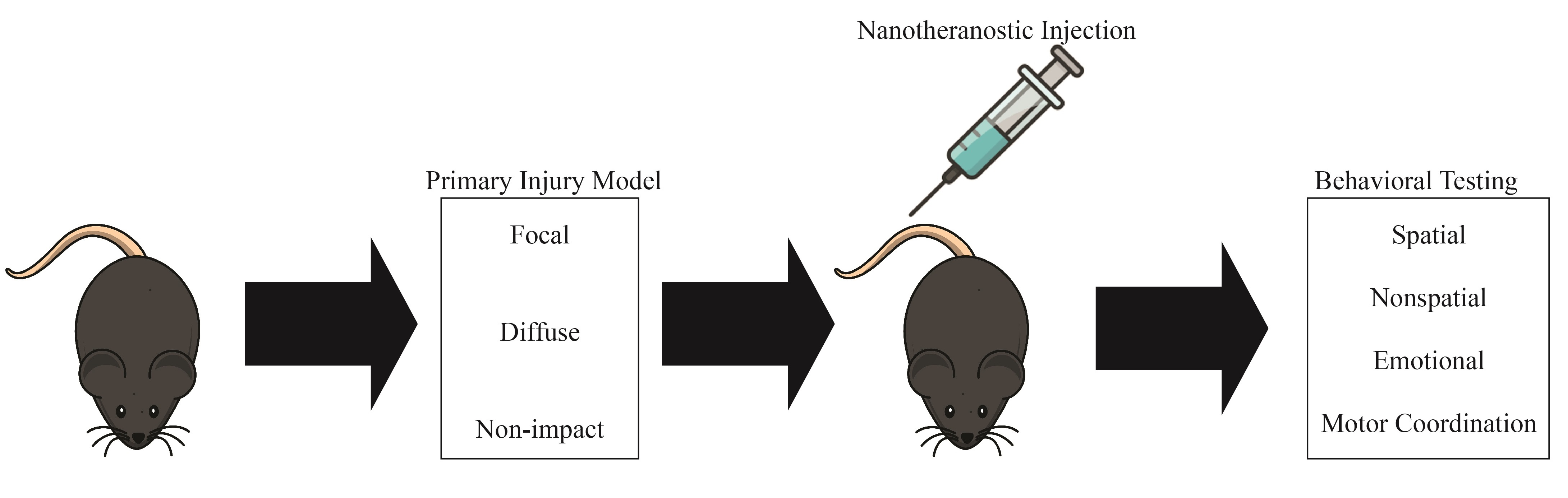 JNT | Free Full-Text | The Nanotheranostic Researcher’s Guide for Use ...