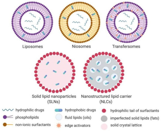 Lipid Nanoparticles as Platforms for Theranostic Purposes: Recent ...