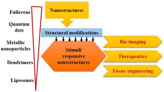 Responsiveness Biology