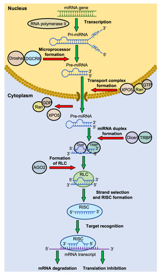 Self-Assembled Monolayers Derived from Positively Charged Adsorbates on ...