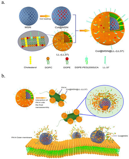 Recent Advances in Combating Bacterial Infections by Using Hybrid Nano ...