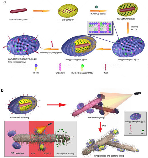 Recent Advances in Combating Bacterial Infections by Using Hybrid Nano ...