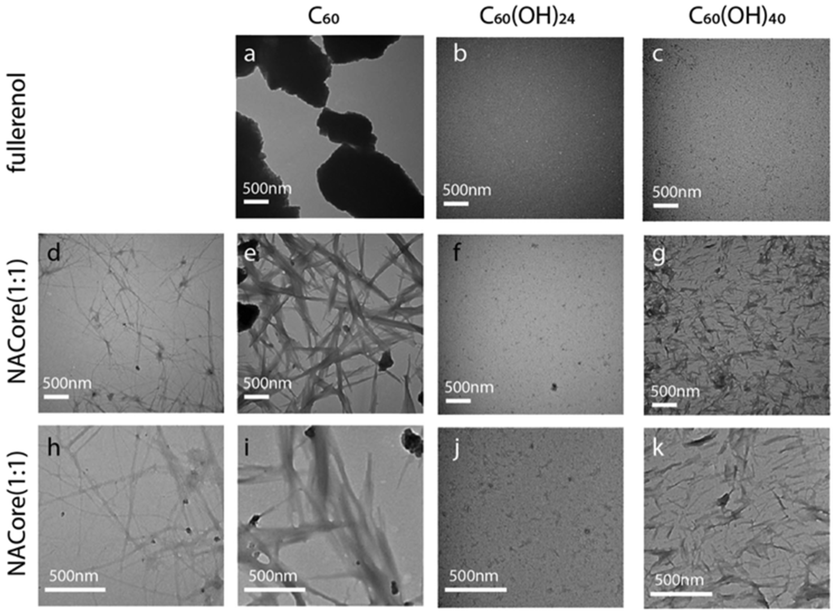 JNT | Free Full-Text | The Role of Fullerenes in Neurodegenerative Disorders