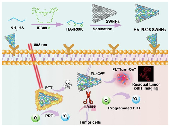 Advances in Photothermal and Photodynamic Nanotheranostics for ...