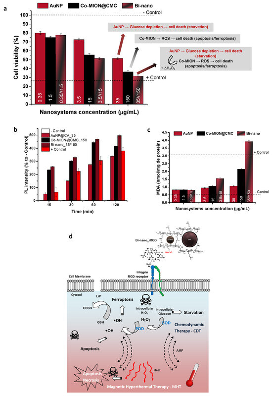 Nanozyme-Based Cancer Nanotheranostics: Emerging Applications and ...