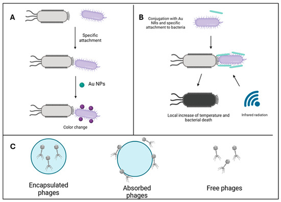 Advanced Nanoparticles in Combating Antibiotic Resistance: Current ...